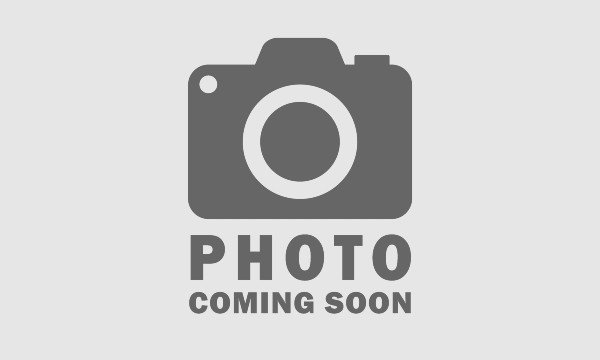 Small Cars - Priceless Car Rental